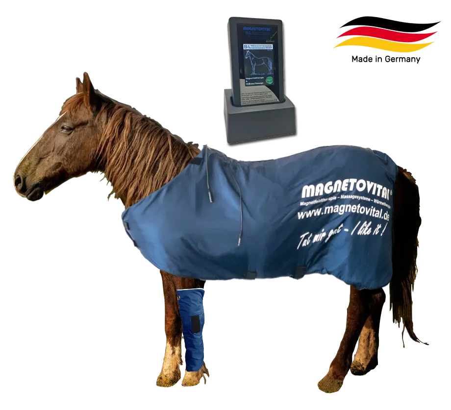 Magnetfeldtherapie für Tiere | Magnetovital®
